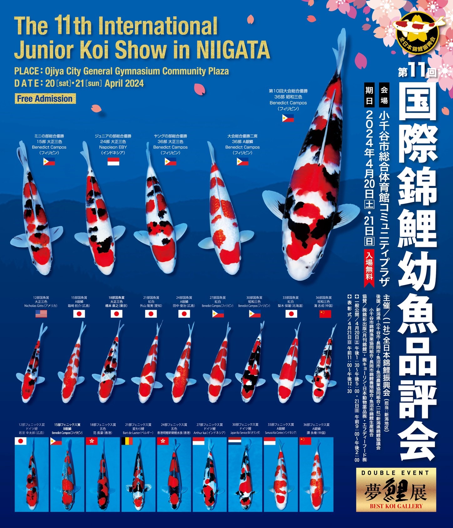 Samurai Koi Auction 2 - Samurai Koi